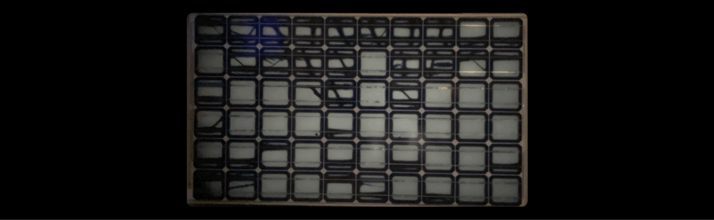 Insights - BrightSpot Automation